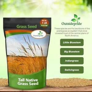 Outsidepride Grass Seed Review: Game-Changing for