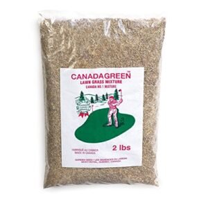 Canada Green Grass Lawn Seed Review: Worth it? After 1 Month - Emerald ...