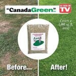 Canada Green Grass Lawn Seed Review: Worth it? After 1 Month - Emerald ...