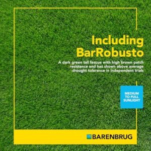 Barenbrug Turf Saver RTF Review: Game-Changing Lawn Seed! - Emerald ...