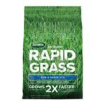 Scotts Turf Builder Rapid Grass Review: Worth It? (Weeks of Testing ...